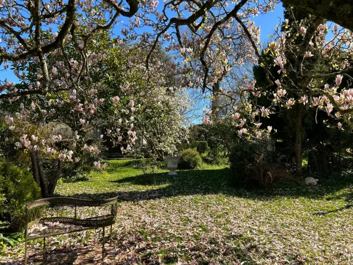 (Reader: David Lawn) Helping Ourselves Through the Timelines Merge ...